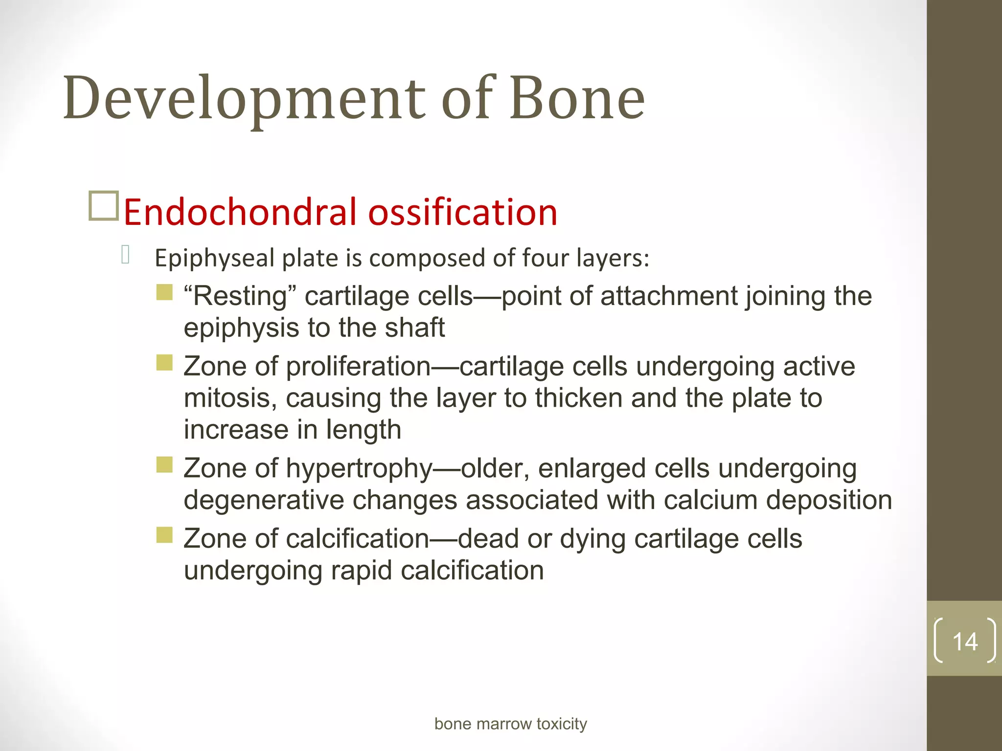 bone marrow toxicity& structure and function of bone marrow | PPT