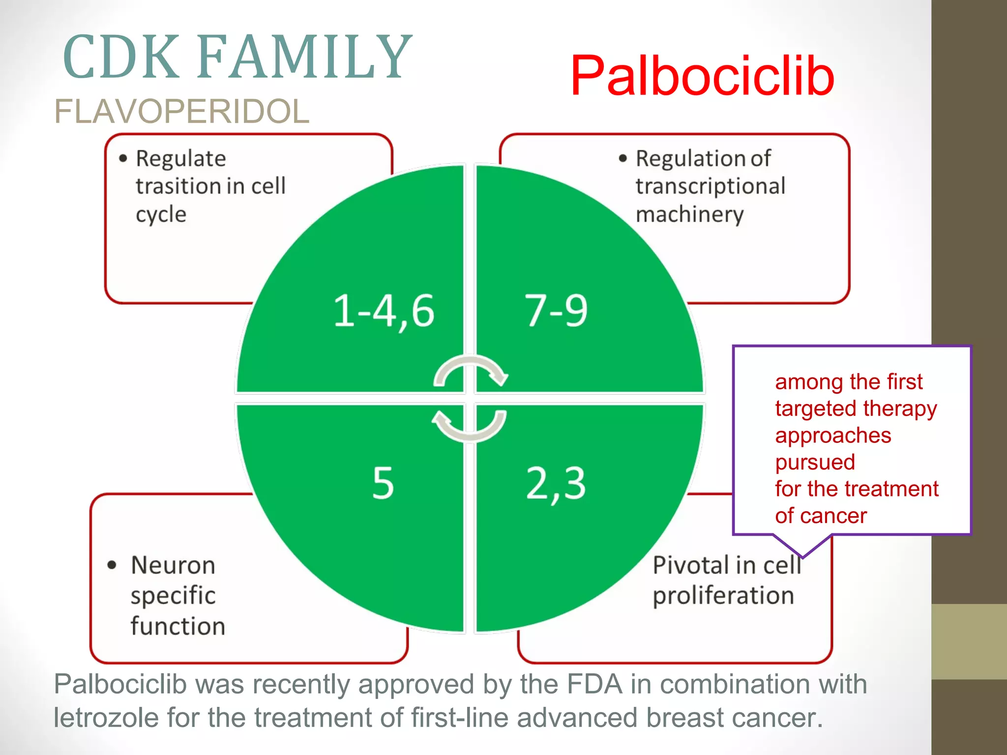 bone marrow toxicity& structure and function of bone marrow | PPT