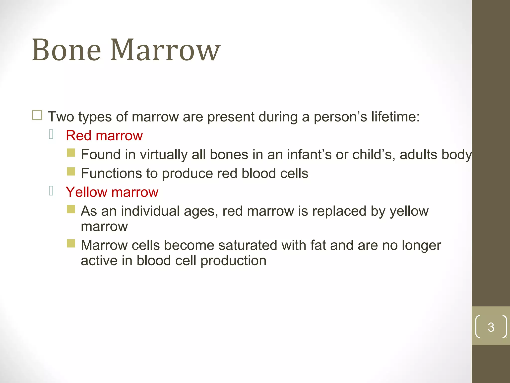bone marrow toxicity& structure and function of bone marrow | PPT