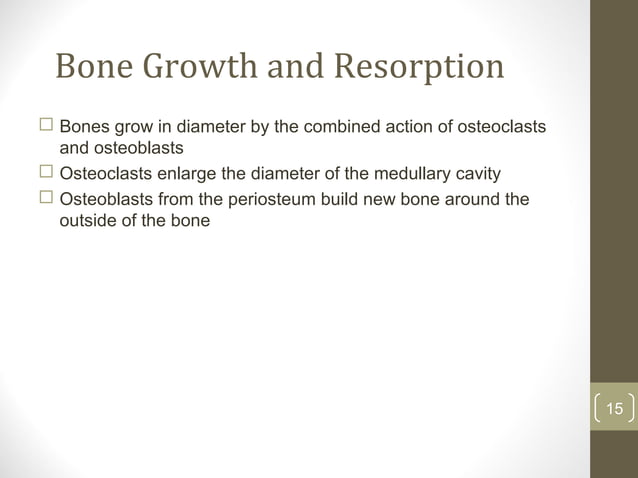 bone marrow toxicity& structure and function of bone marrow | PPT