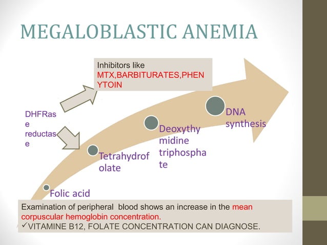 bone marrow toxicity& structure and function of bone marrow | PPT