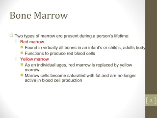 Red Bone Marrow Function