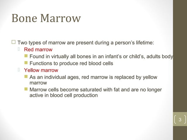 bone marrow toxicity& structure and function of bone marrow | PPT