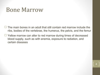 bone marrow toxicity& structure and function of bone marrow | PPT