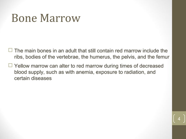 bone marrow toxicity& structure and function of bone marrow | PPT ...