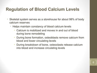 bone marrow toxicity& structure and function of bone marrow | PPT