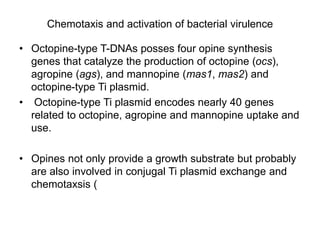 Chapter_ 7 Pathogencity Agrobacterium.ppt