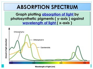 chapter7photo1kmkt-160607004122.pdf
