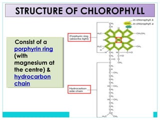 chapter7photo1kmkt-160607004122.pdf