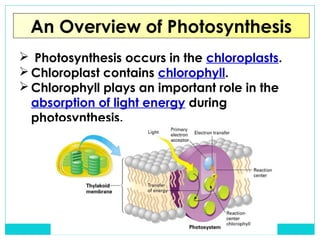 chapter7photo1kmkt-160607004122.pdf