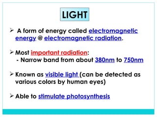 chapter7photo1kmkt-160607004122.pdf