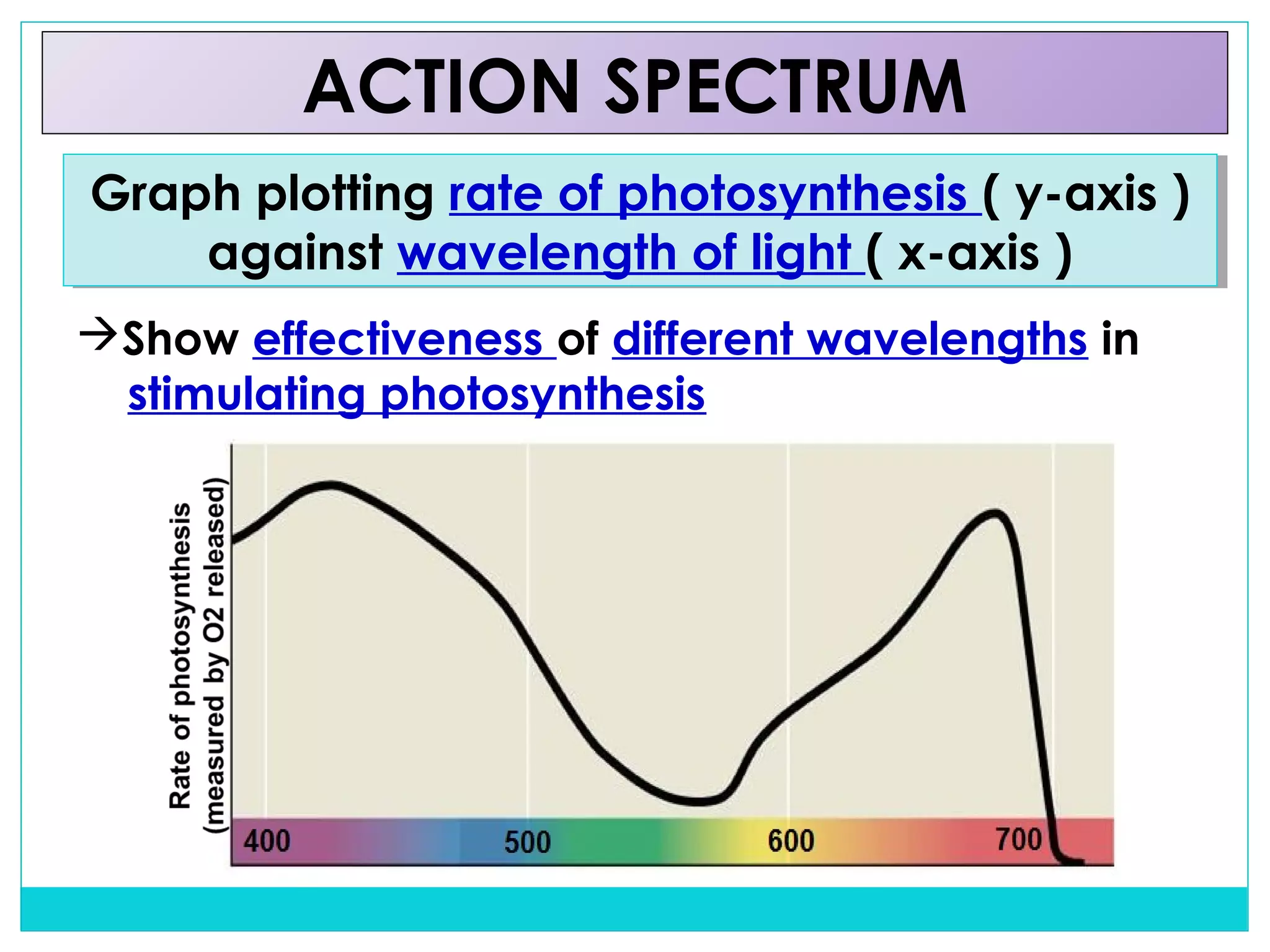 photosynthesis | PPT