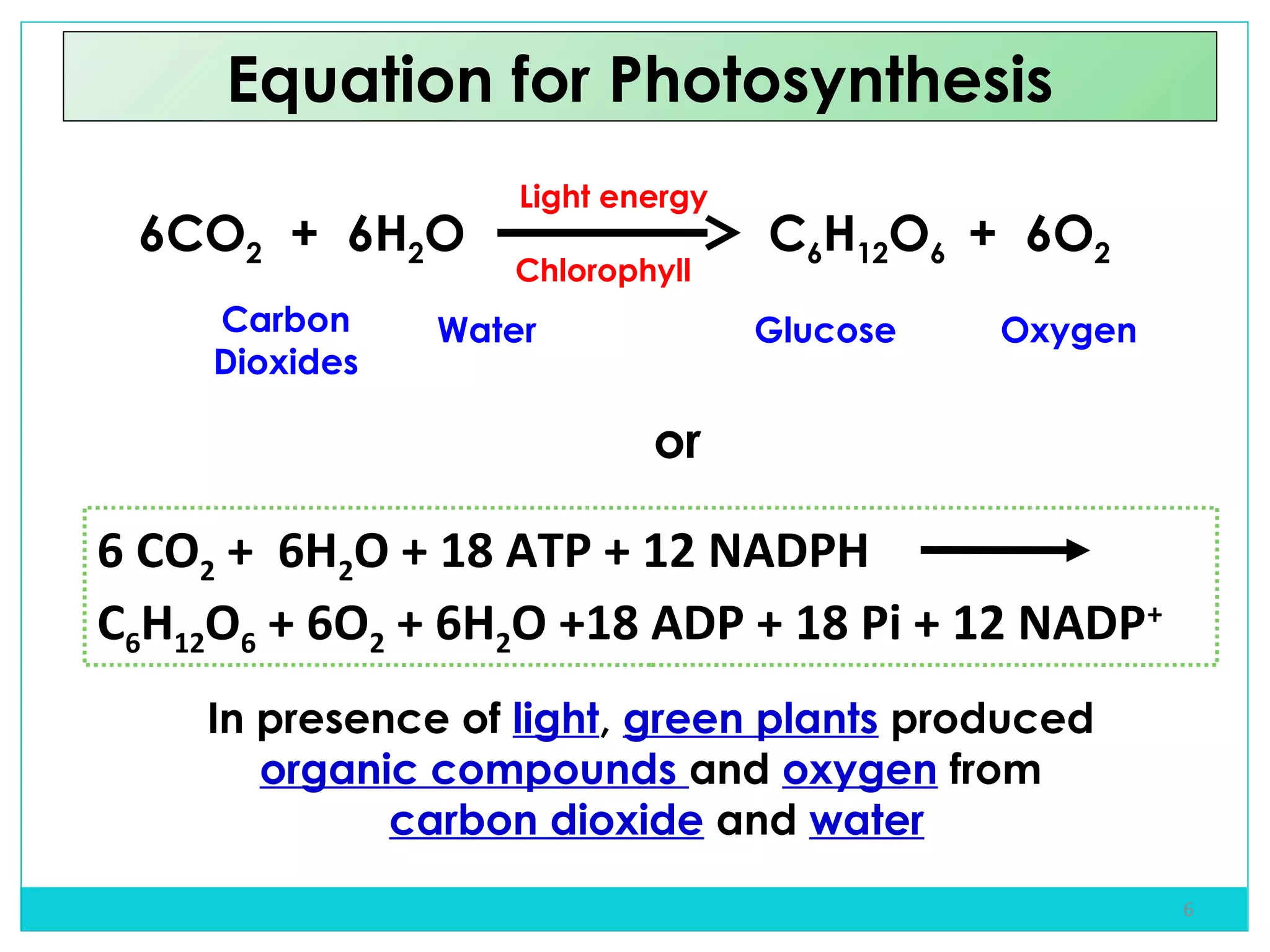 photosynthesis | PPT