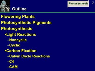chapter_7_PHOTOSYNTHESIS.ppt