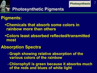 chapter_7_PHOTOSYNTHESIS.ppt