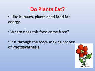 Chapter 7 plant nutrition | PPT