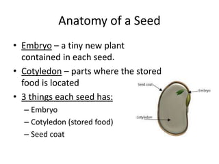 Introduction to the Plant Reproduction.ppt
