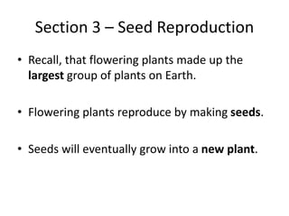 Introduction to the Plant Reproduction.ppt