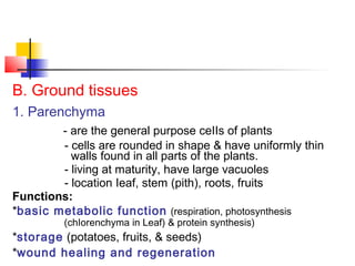 Plant Tissues | PPT | Gardening | Home & Garden