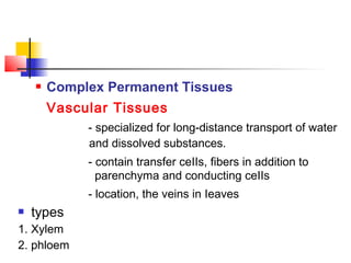 Plant Tissues | PPT | Gardening | Home & Garden