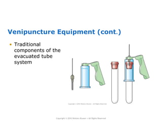 Chapter 7 powerpoint | PPT