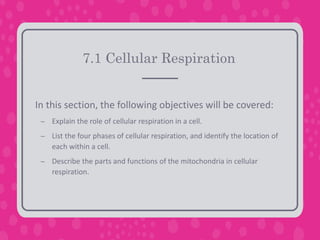Chapter 7 Energy for Cells | PPT