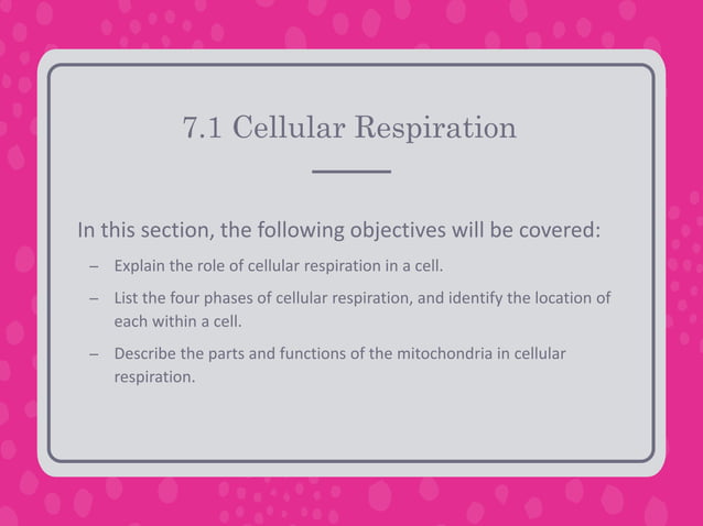 Chapter 7 Energy for Cells | PPT