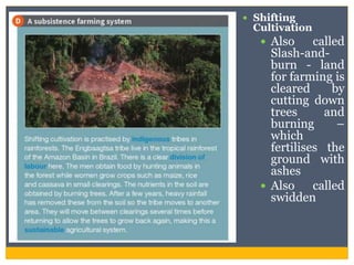 Chapter 7 powerpoint | PPTX
