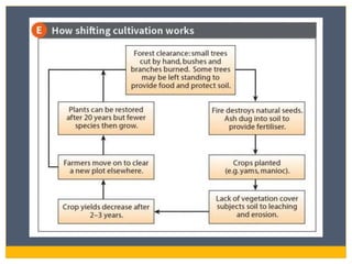 Chapter 7 powerpoint | PPTX