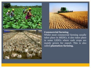 Chapter 7 powerpoint | PPTX