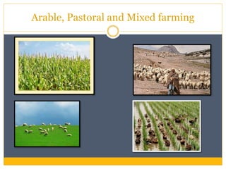 Chapter 7 powerpoint | PPTX