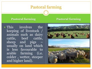 Chapter 7 powerpoint | PPTX