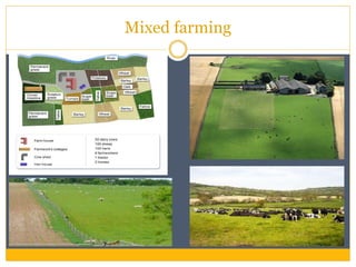 Chapter 7 powerpoint | PPTX