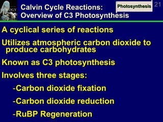 Chapter 7 Powerpoint Le | PPT
