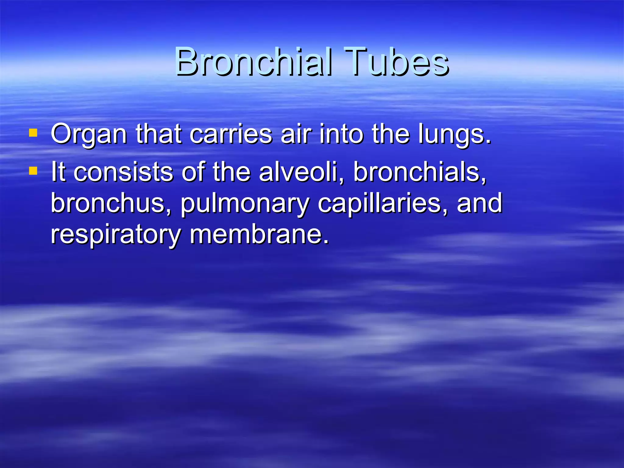 Chapter 7 Presentation | PPT