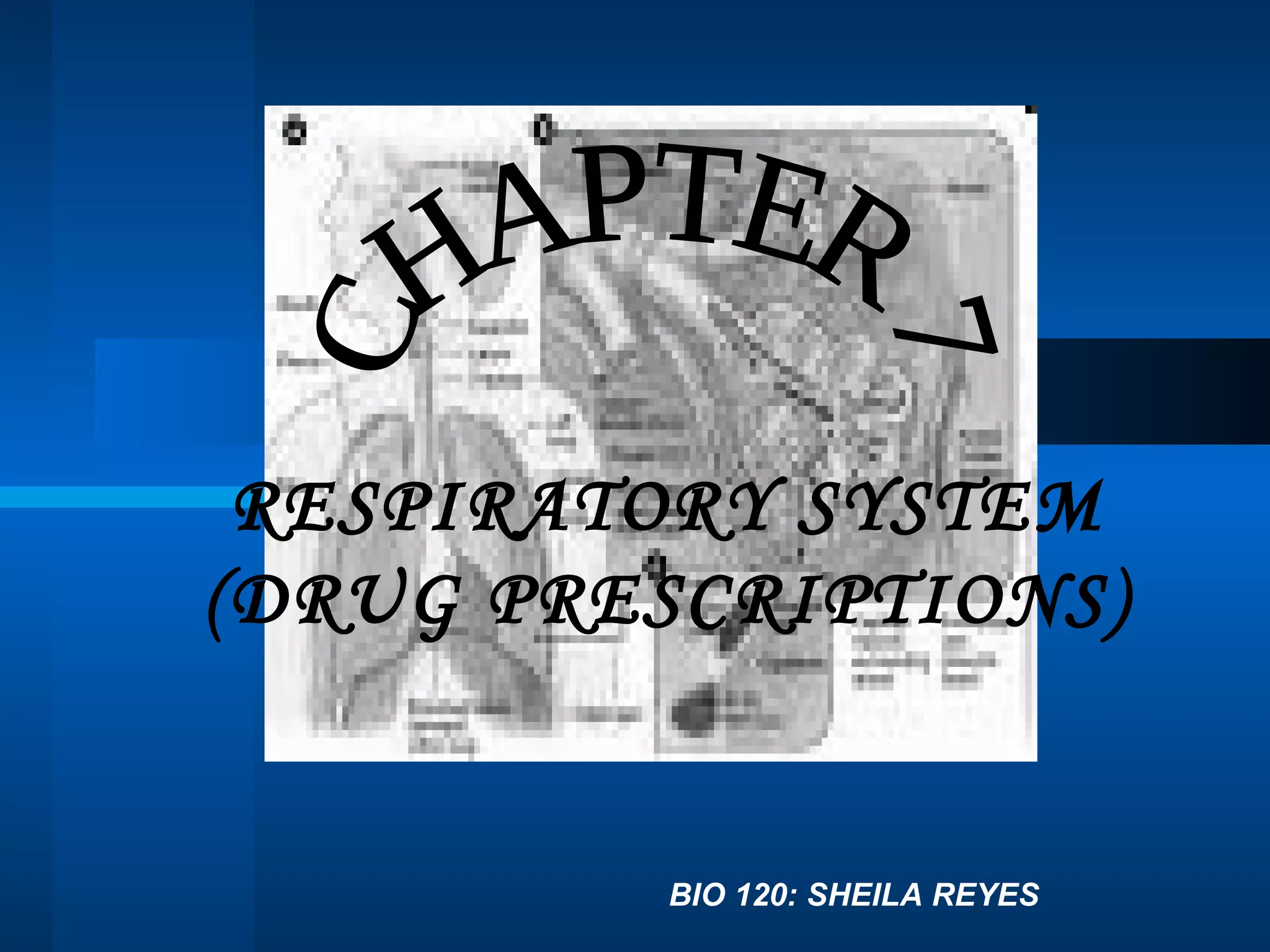 Chapter 7 presentation | PPT | Lung and Respiratory Health | Diseases and Conditions