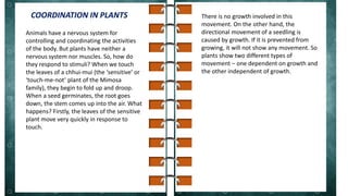 Chapter 7 Control And Coordination || Science || PPT || Class 10 | PPTX