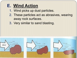 Chapter 7 section 1 | PPT