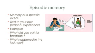 Chapter 7 section 1 | PPT