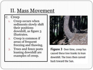 Chapter 7 Section 1 And 2 | PPTX