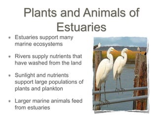 Chapter 7 Section 2.ppt