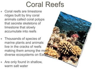 Chapter 7 Section 2.ppt