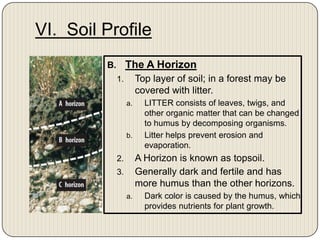 Chapter 7 section 2 (nature of soil) | PPTX