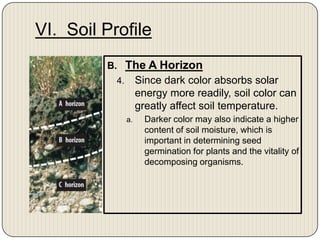 Chapter 7 section 2 (nature of soil) | PPTX