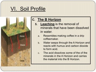 Chapter 7 section 2 (nature of soil) | PPTX