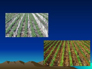 Chapter 7 Section 3 Notes | PPT