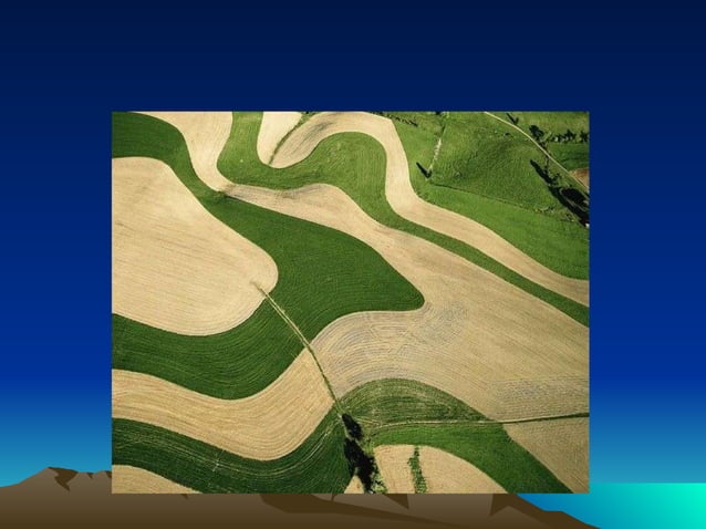 Chapter 7 Section 3 Notes | PPT