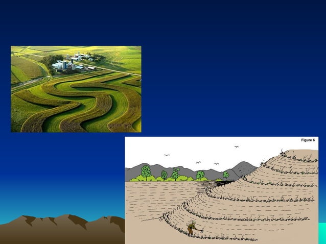 Chapter 7 Section 3 Notes | PPT