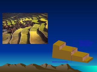 Chapter 7 Section 3 Notes | PPT