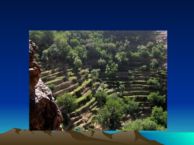 Chapter 7 Section 3 Notes | PPT